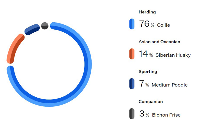 Cookies DNA « Collie Rescue of the Carolinas
