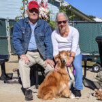 Adoptable Collies « Collie Rescue of the Carolinas