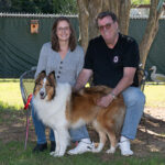 Adoptable Collies « Collie Rescue of the Carolinas